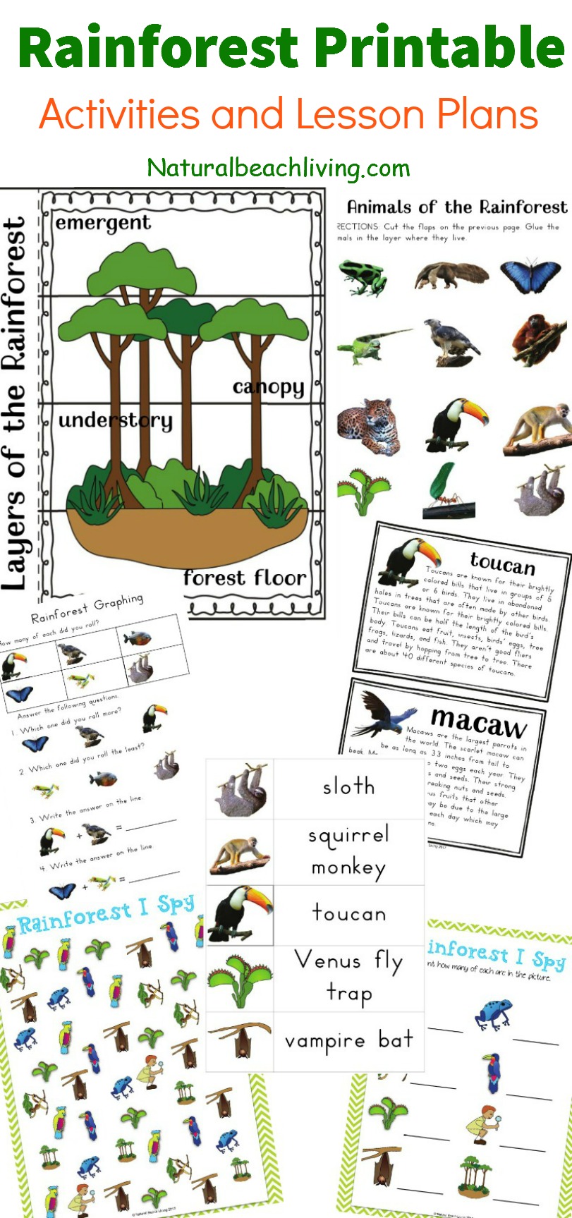 Free Printable Rainforest Worksheets Printable Word Searches Free Printable Rainforest Worksheets Printable Word Searches