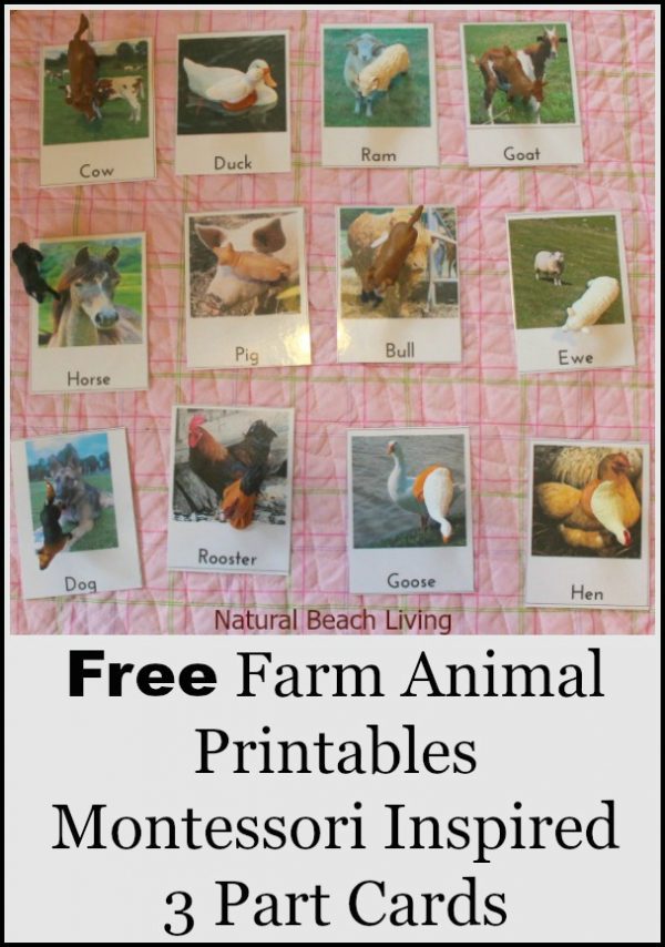 Montessori Farm Animal Activities with Free Printables - Natural Beach ...