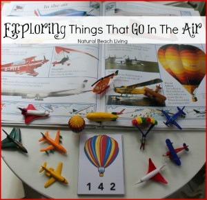Exploring Things Up In the Sky - Preschool Transportation Theme (Free ...