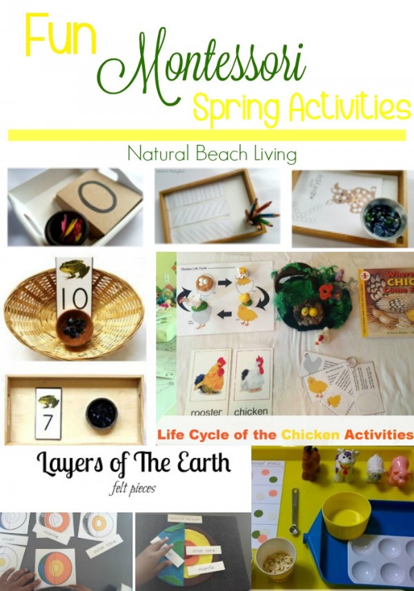 Fun Montessori Spring Activities - Natural Beach Living