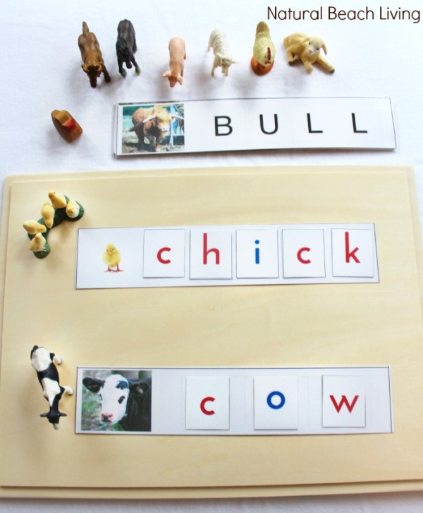 Montessori Farm Activities ~ Farm Theme Unit Study with Free Printables ...