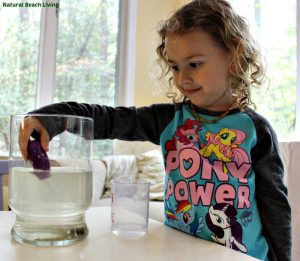 Pond Theme Activities STEM Free Printables