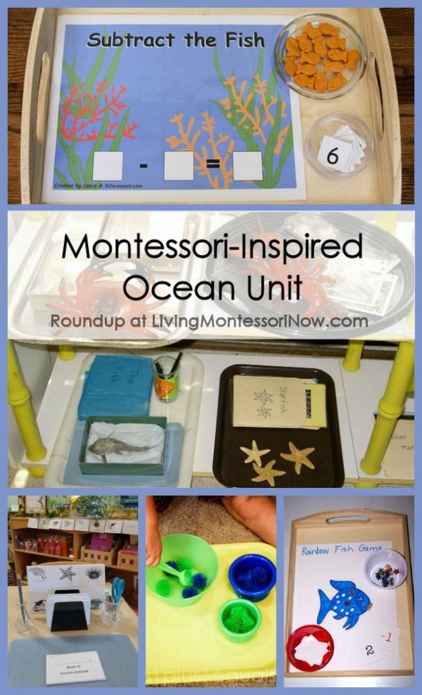 12+ Montessori Summer Activities ~ Perfect Themes for June - Natural ...