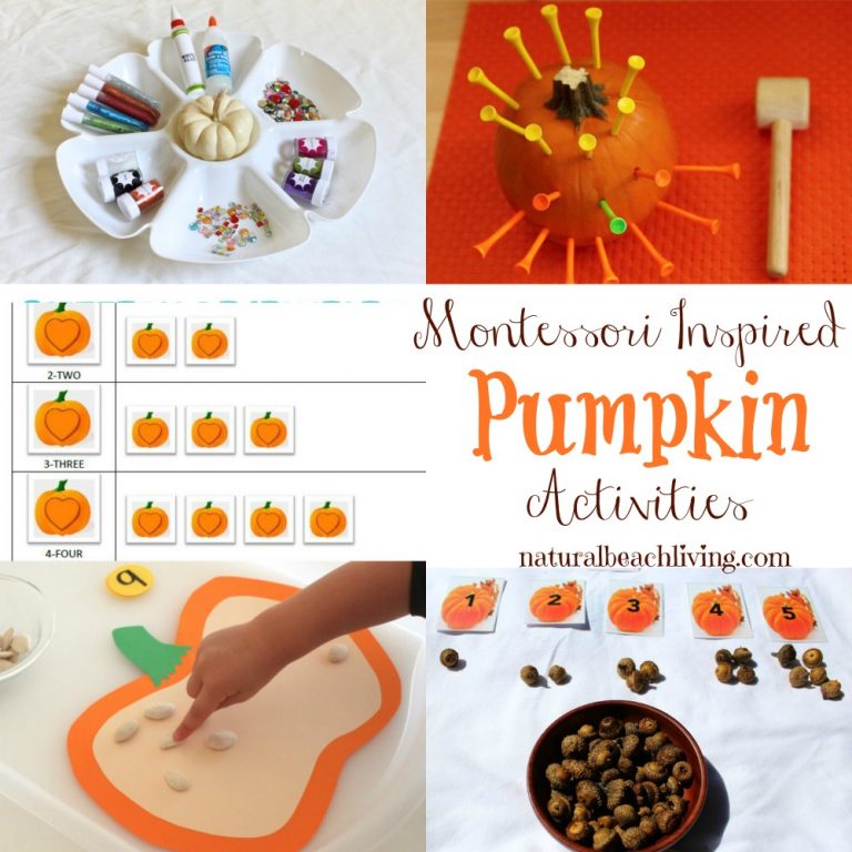 Fall Montessori Pumpkin Activities - Natural Beach Living