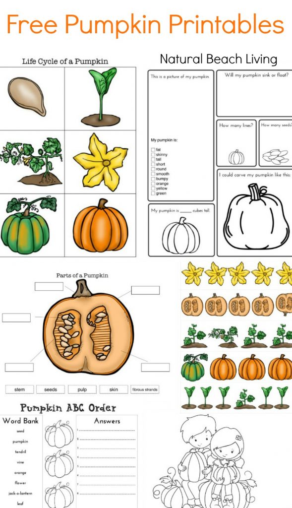 Pumpkin Activities For Kids Pumpkin Lesson Plans STEM Natural Pumpkin Activities For Kids Pumpkin Lesson Plans STEM Natural
