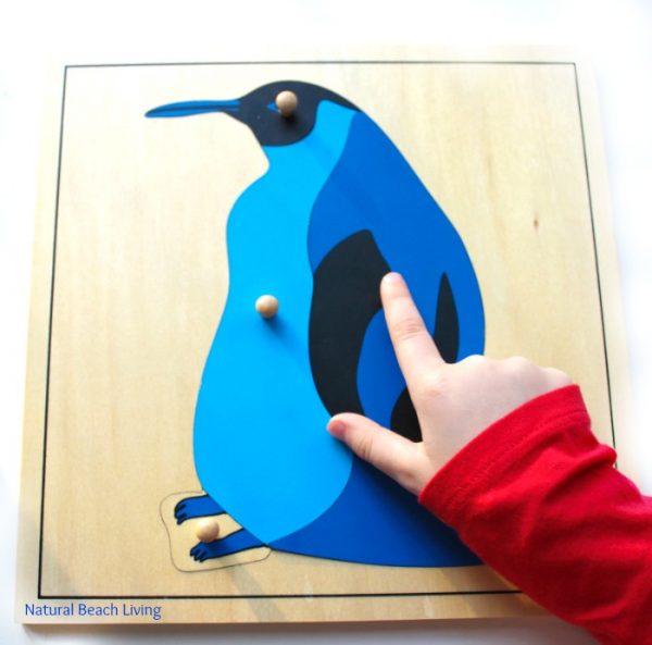 The Best Kindergarten and Preschool Penguin Activities Theme - Natural ...