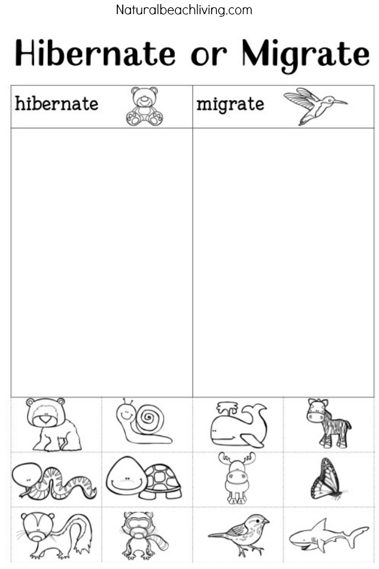 Winter Animals For Preschool Activities Natural Beach Living Winter Animals For Preschool Activities Natural Beach Living