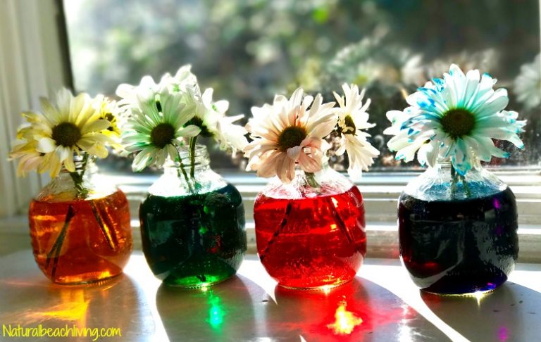 Flower Science Activities for Preschool and Kindergarten - Natural ...