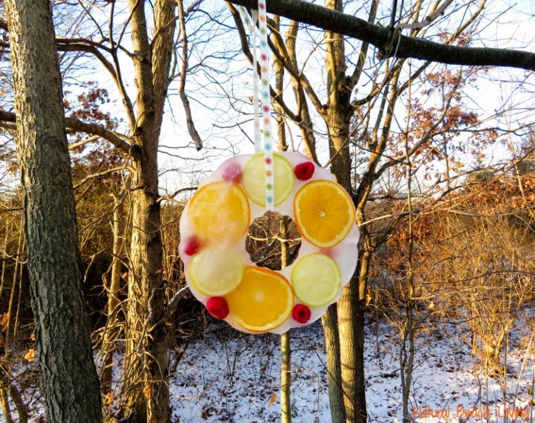 How to Make Ice Wreath Homemade Bird Treats - Natural Beach Living