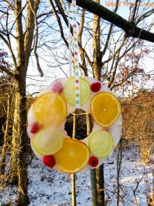 How to Make Ice Wreath Homemade Bird Treats - Natural Beach Living