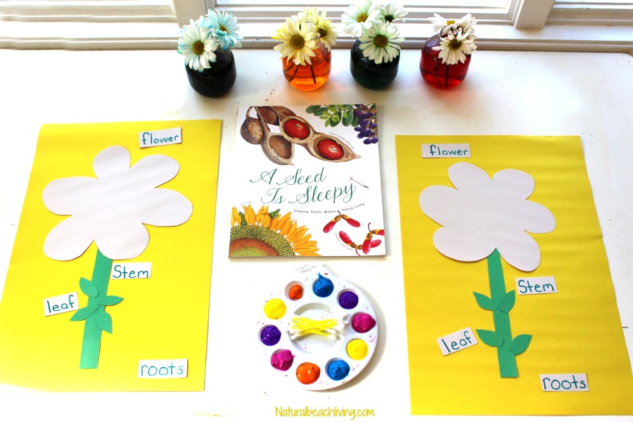 The Best Parts Of A Flower Craft For Kids Natural Beach Living The Best Parts Of A Flower Craft For Kids Natural Beach Living