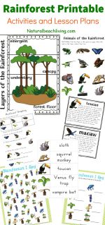 The Best Rainforest Printable Activities for Kids - Natural Beach Living