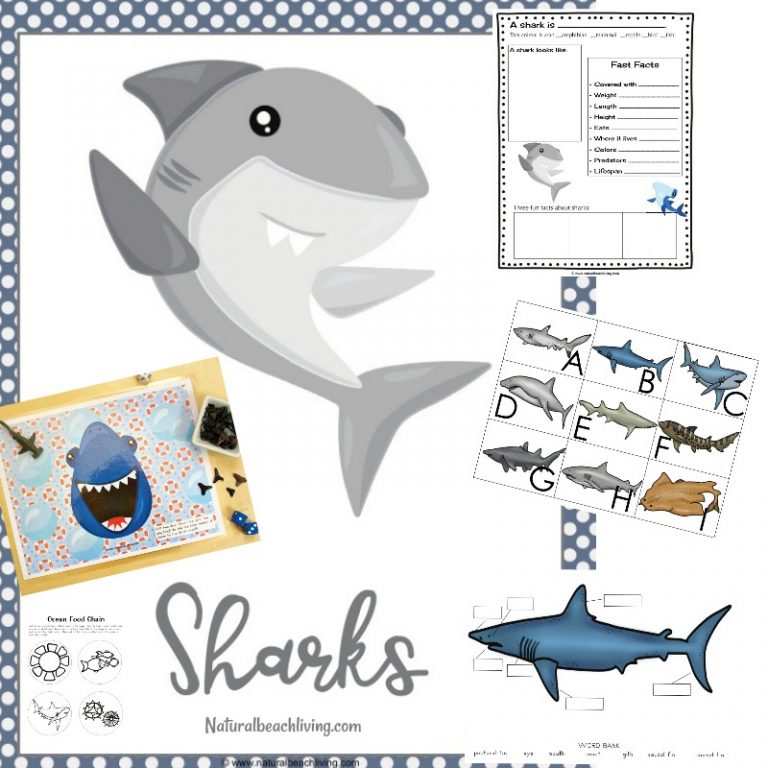 25+ Shark Week Crafts and Activities for Kids - Natural Beach Living