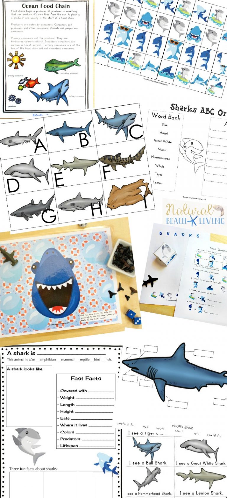 60+ Best Ocean Activities and Ocean Crafts for Preschool and ...
