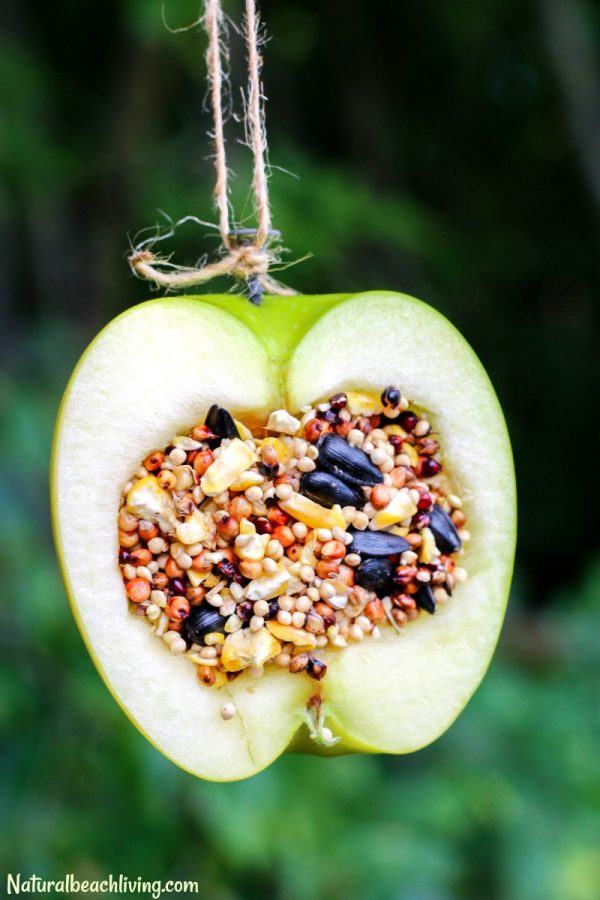 How to Make Apple Birdseed Homemade Bird Feeders Everyone Loves ...
