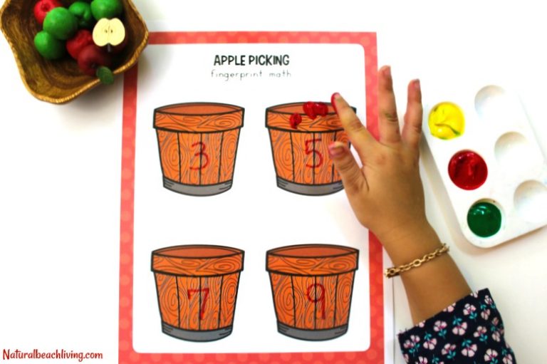 Kindergarten and Preschool Apple Theme Activities and Lesson Plans ...