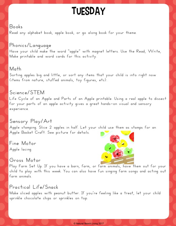 Kindergarten & Preschool Apple Theme Unit - Natural Beach Living