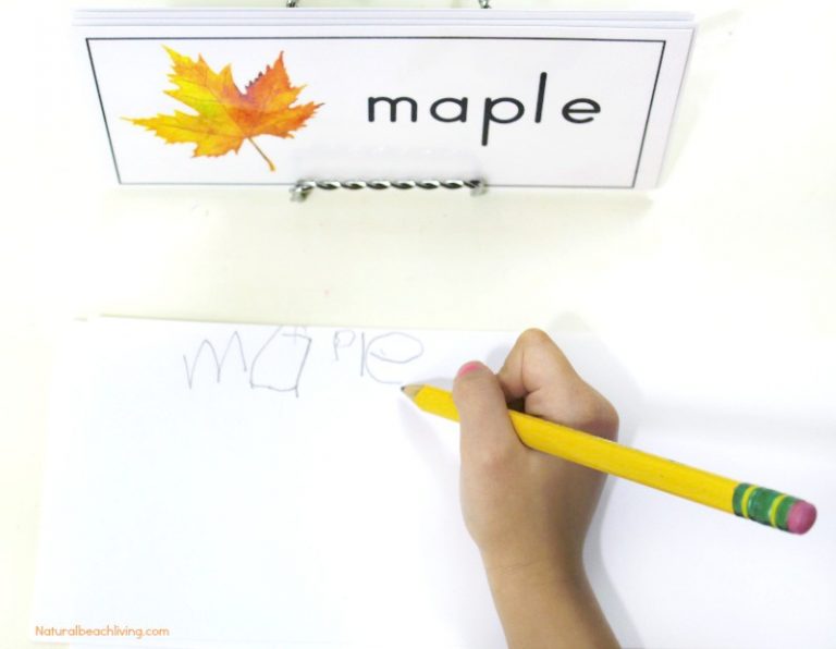 The Best Kindergarten and Preschool Leaf Theme Lesson Plan - Natural ...