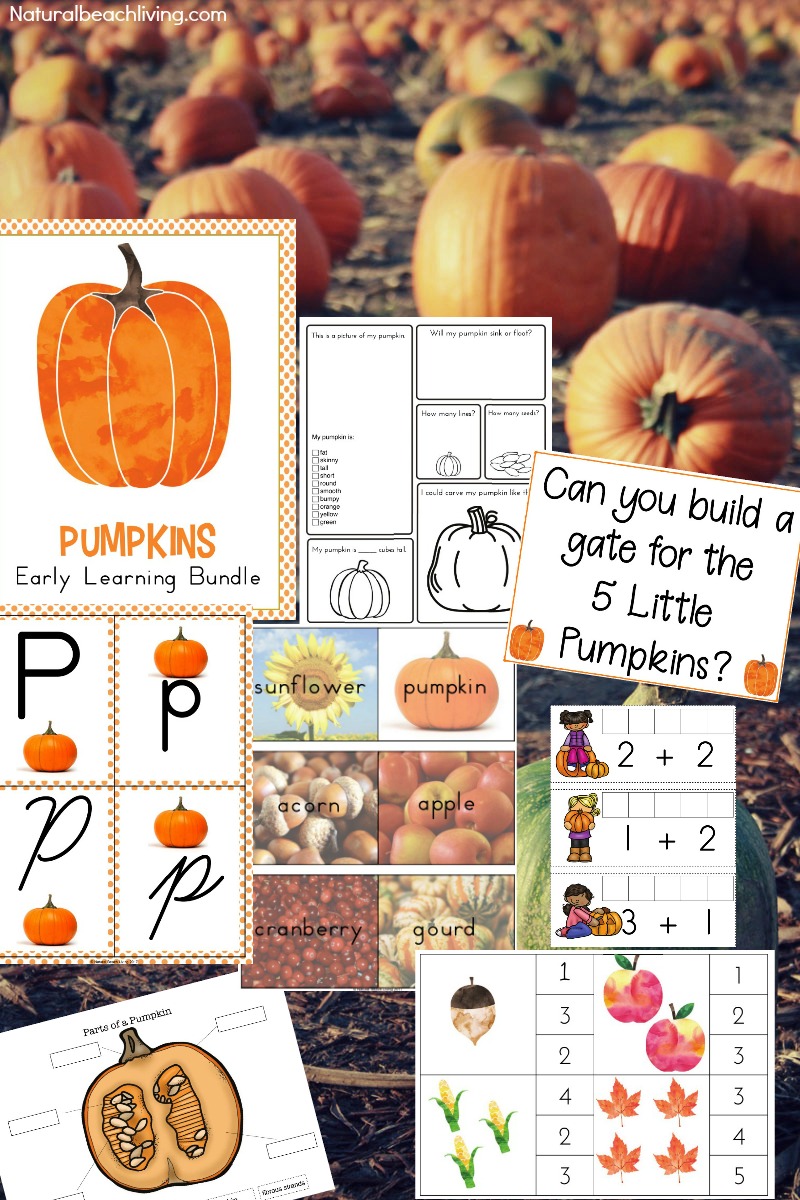 Kindergarten And Preschool Pumpkin Theme Lesson Plan Natural Beach Living Kindergarten And Preschool Pumpkin Theme Lesson Plan Natural Beach Living