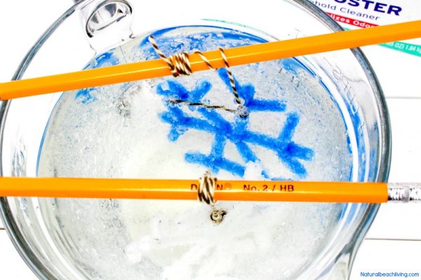 DIY Crystal Snowflake Ornaments - Winter Science for Kids - Natural ...
