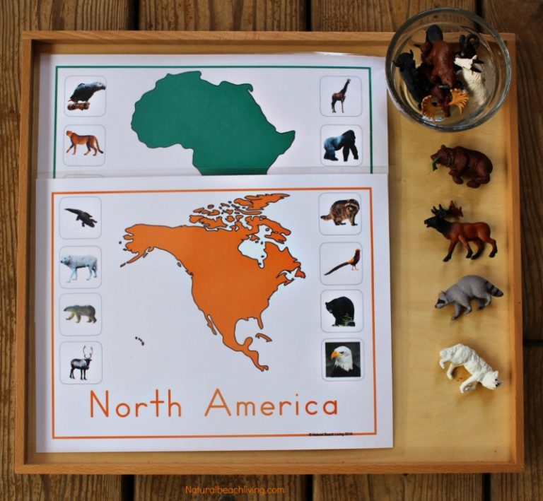 Montessori Animals and Continents Printables and Activities - Natural ...