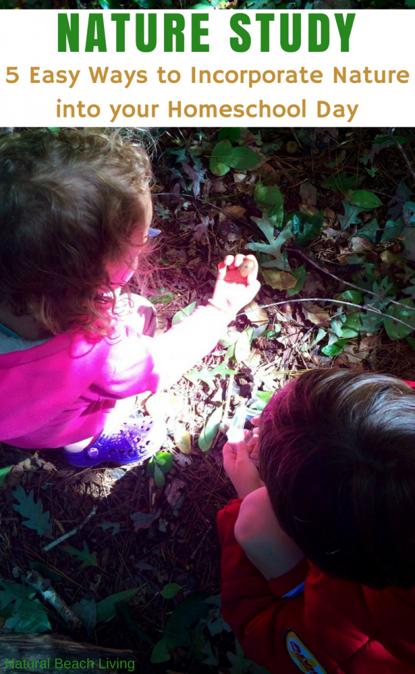 Easy Ways to Incorporate Nature Into Your Homeschool Day - Natural ...