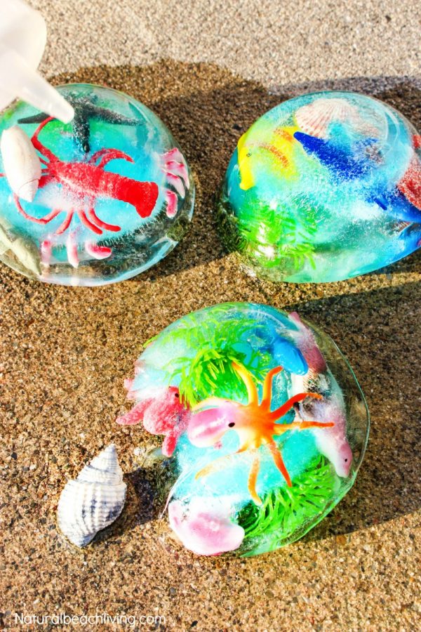 45+ Ocean Summer Camp Theme Activities - Natural Beach Living