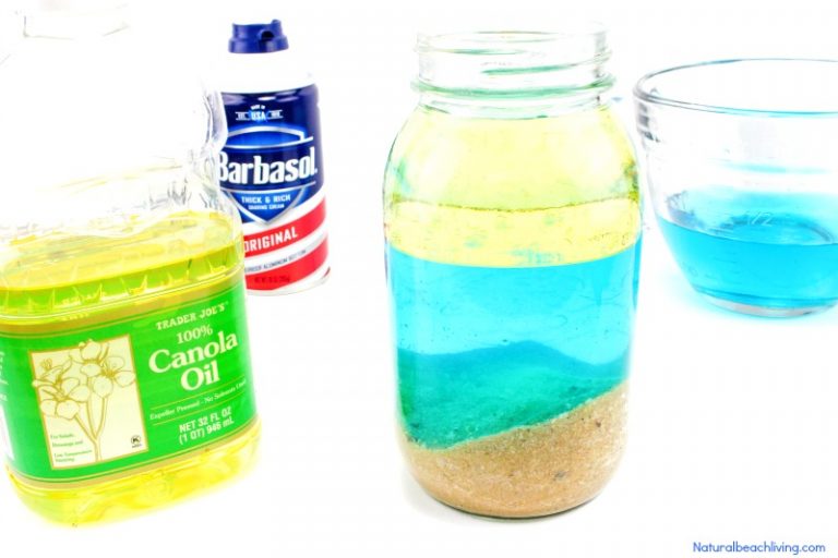 Ocean Science for Kids - Easy Ocean Life Experiment Kids Love - Natural ...