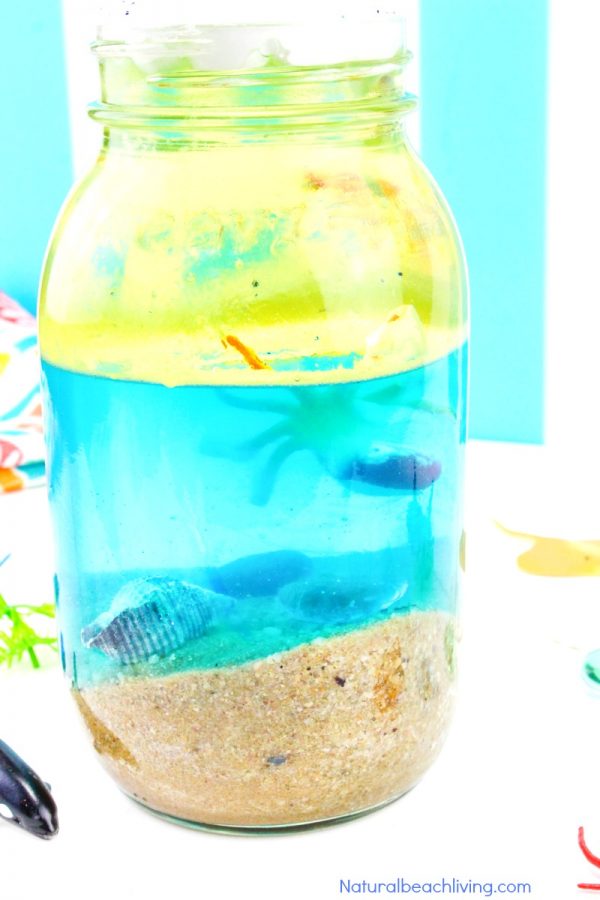 Ocean Science for Kids - Easy Ocean Life Experiment Kids Love - Natural ...