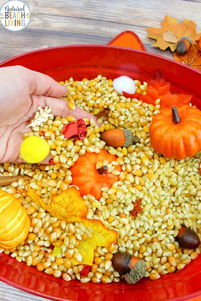 Fall Sensory Bin for Toddlers and Preschoolers - Natural Beach Living