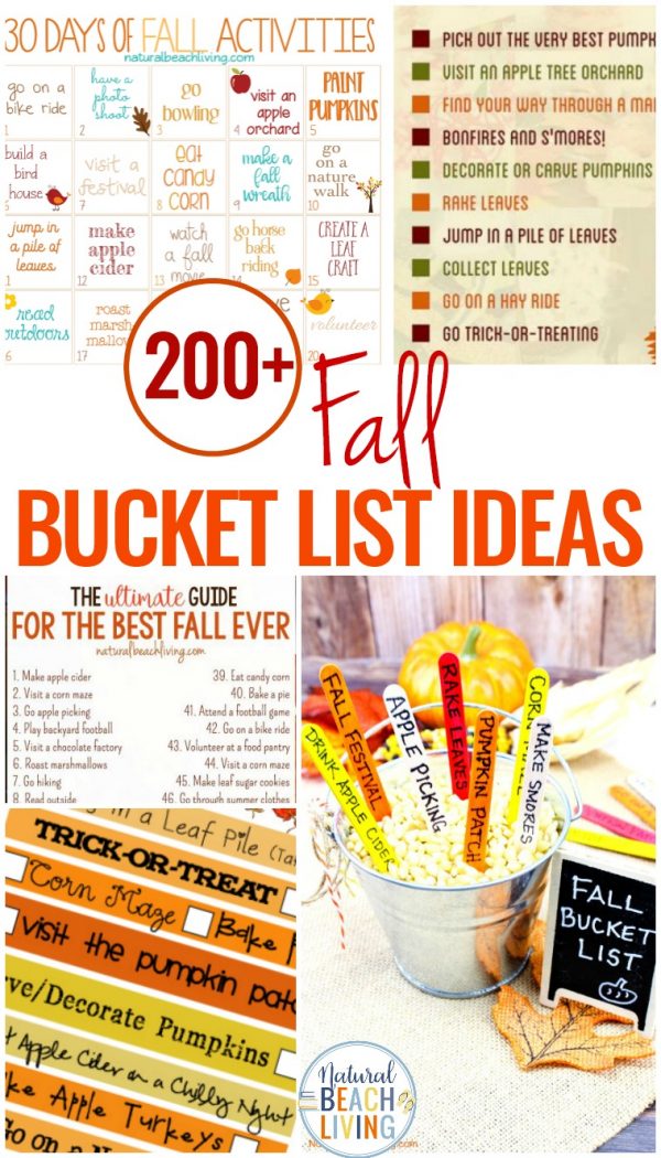 200+ Fall Bucket List Ideas - Fall Themes and Activities for Kids and ...