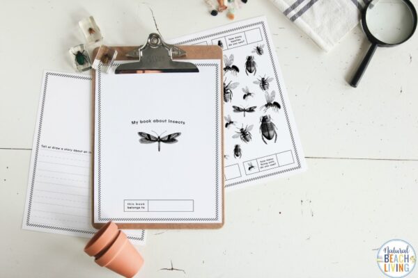 Preschool Insect Theme Printables - Free Insect Activities for ...