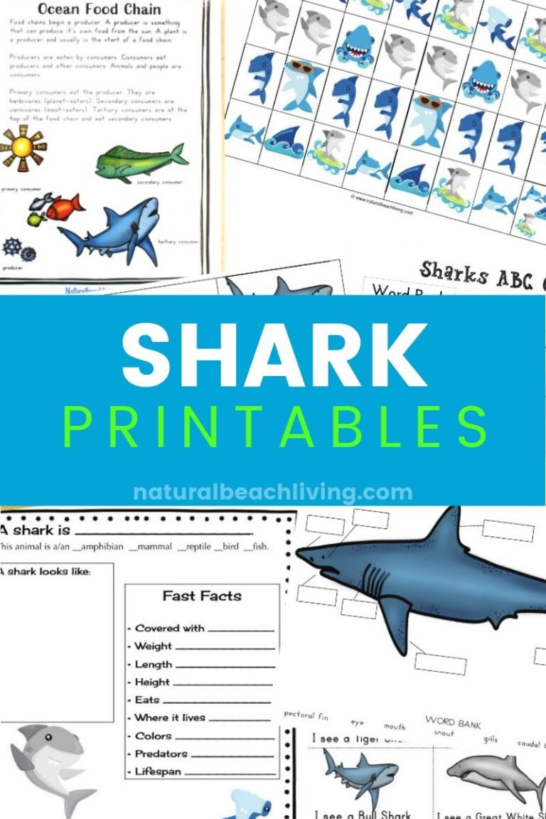 The Best Shark Printable Activities for Kids - Shark Lesson Plans ...
