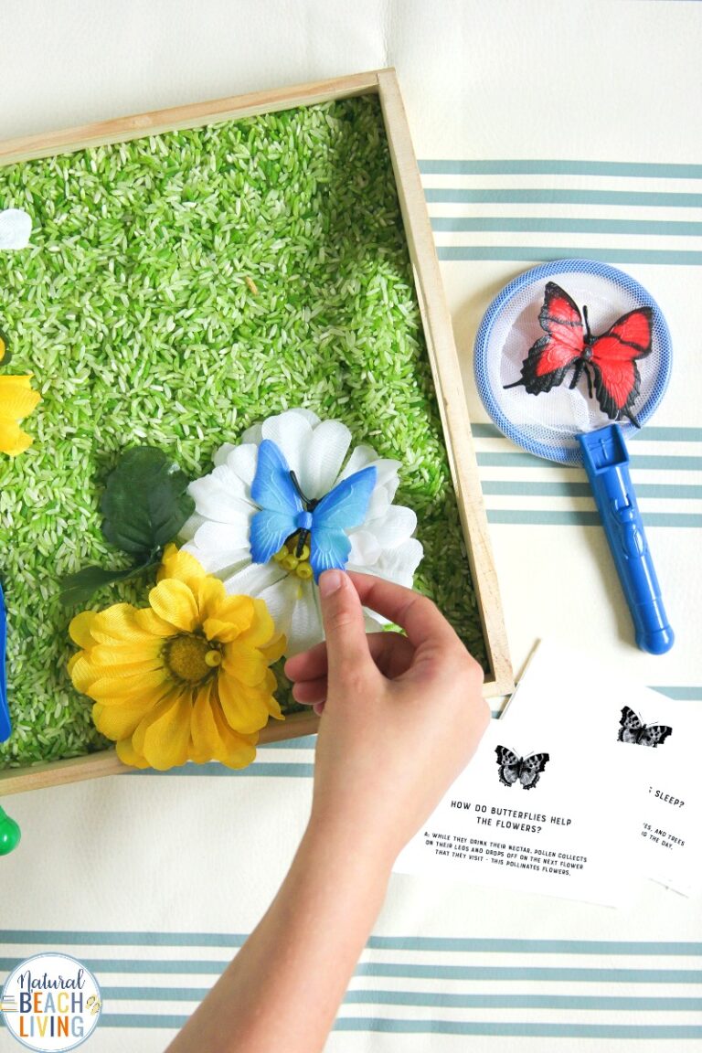 Butterfly Life Cycle Activities for Kids Free Printables - Natural ...