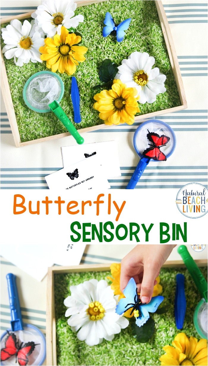 Butterfly Sensory Bin and Butterfly Preschool Activities with free ...