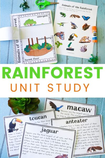 Rainforest Lesson Plans and Rainforest Activities for Kids - Natural ...
