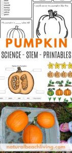 Pumpkin Activities for Kids - Pumpkin Lesson Plans (STEM) - Natural ...