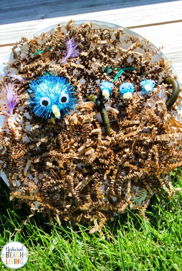 Paper Plate Birds Nest Craft for Preschoolers - Natural Beach Living