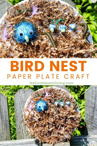 Paper Plate Birds Nest Craft for Preschoolers - Natural Beach Living