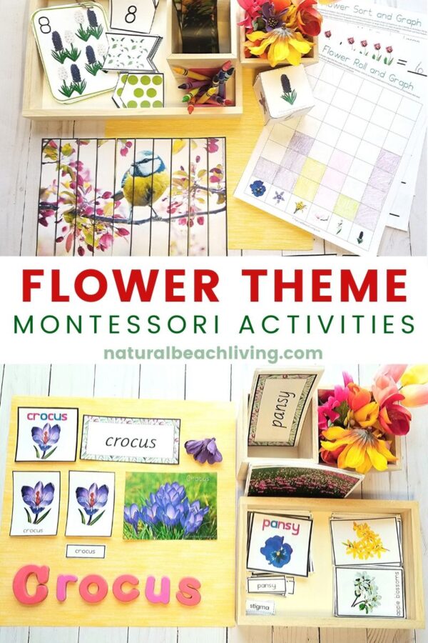 Montessori Flowers 3 Part Cards and Language Cards - Natural Beach Living