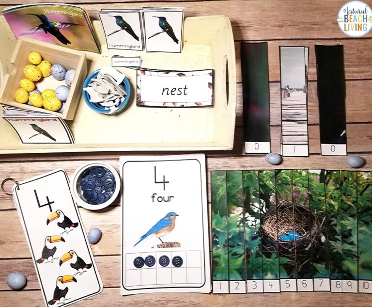 Kindergarten and Preschool Bird Theme Activities Unit Study - Natural ...