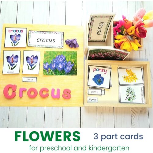 Montessori Flowers 3 Part Cards and Language Cards - Natural Beach Living