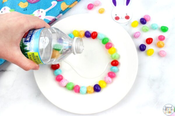 Jelly Bean Science Experiment Your Kids Will Love - Natural Beach Living