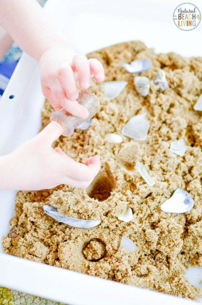 Beach Sensory Bin - Ocean Themed Sensory Activities - Natural Beach Living