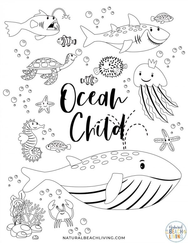 Free Printable Ocean Activity Pages for Preschoolers and Kindergarten ...