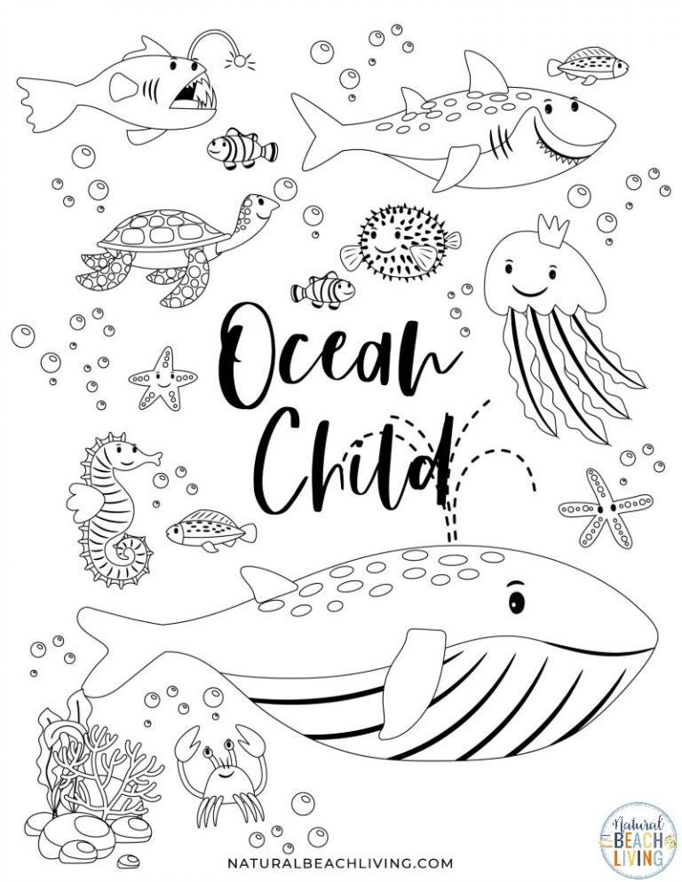 Free Printable Ocean Activity Pages for Preschoolers and Kindergarten ...