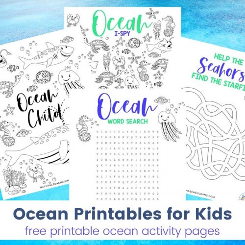 Free Printable Ocean Activity Pages for Preschoolers and Kindergarten ...