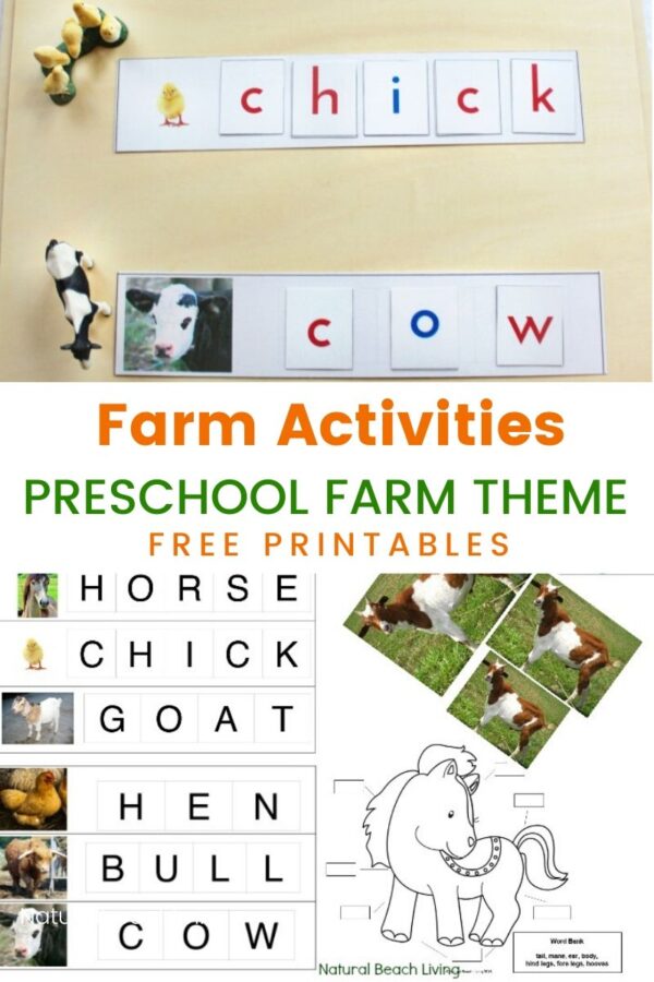 Montessori Farm Activities ~ Farm Theme Unit Study with Free Printables ...