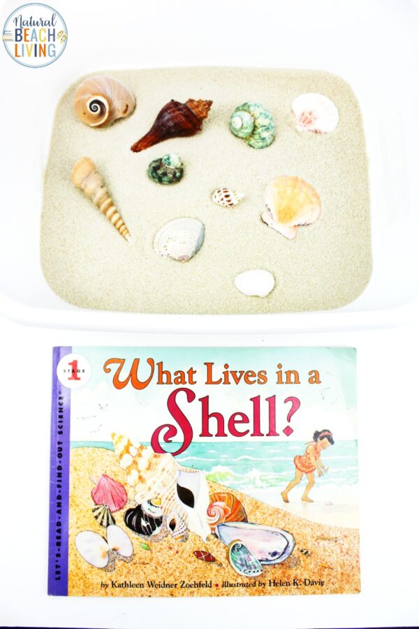 45+ Ocean Summer Camp Theme Activities - Natural Beach Living