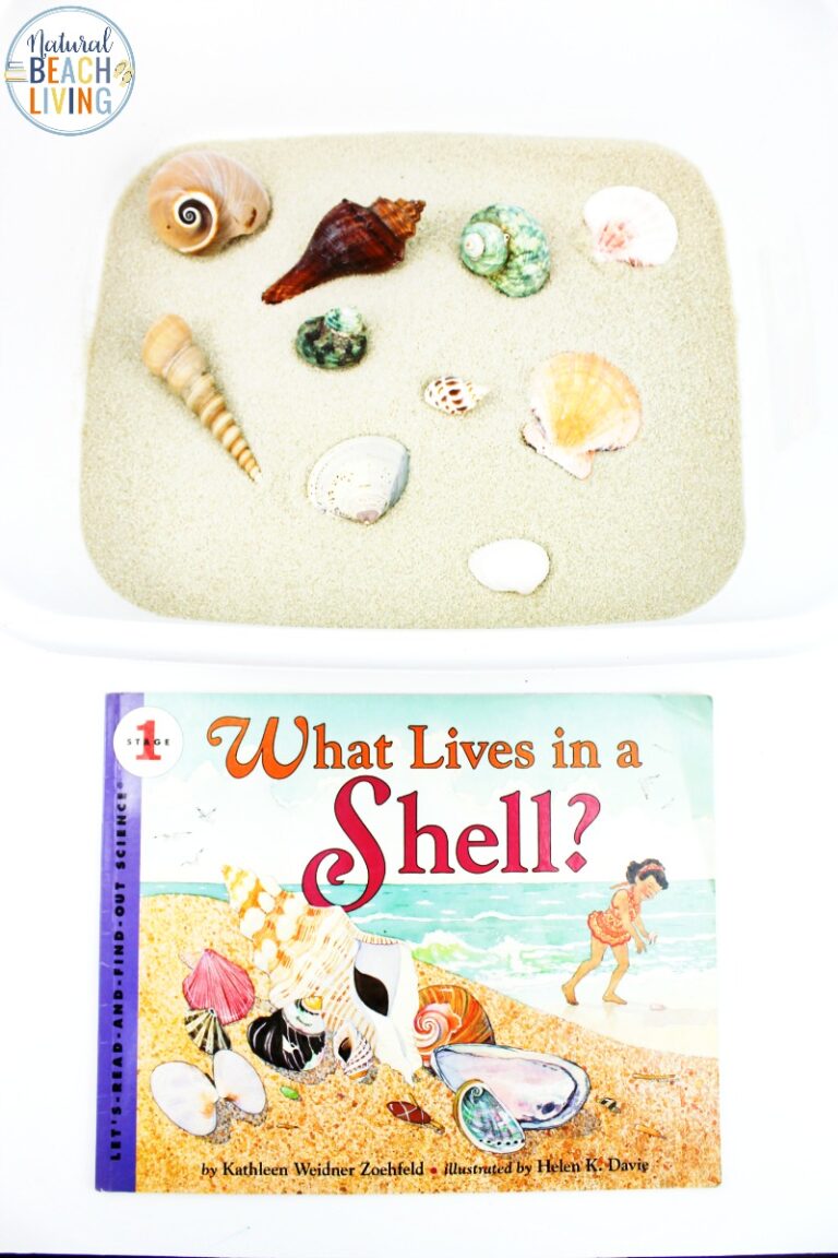 45+ Ocean Summer Camp Theme Activities - Natural Beach Living